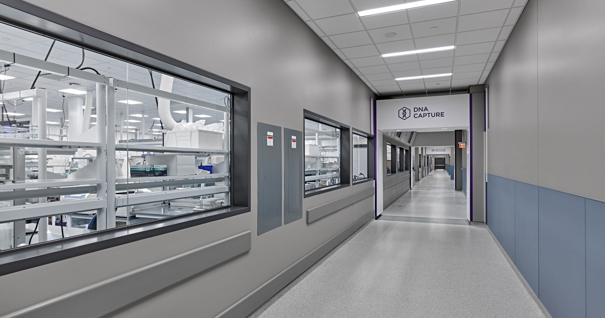 Exact Sciences Clinical Processing Lab - Potter Lawson